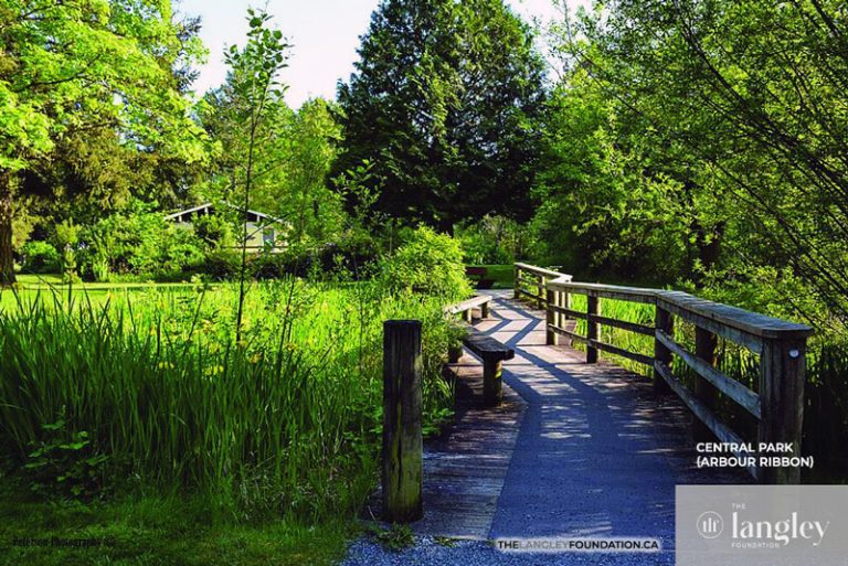 The Langley Foundation - The Langley Foundation