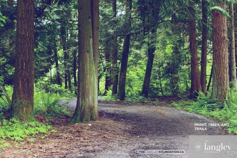 Parks, Trees, and Trails - The Langley Foundation